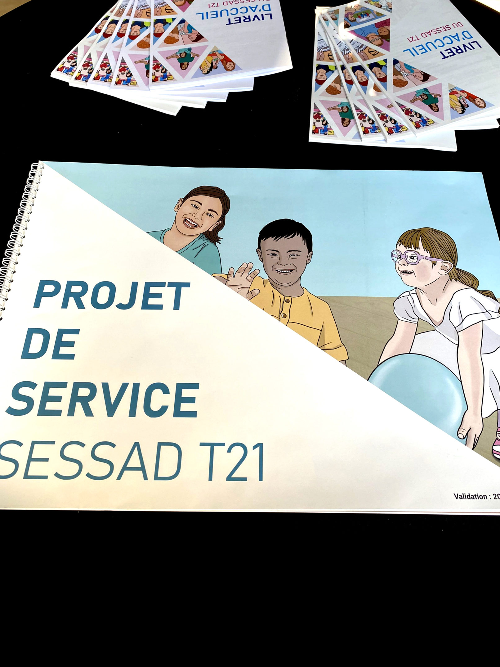 Livrets SESSAD Trisomie 21 (35) | Solène Le Pavec